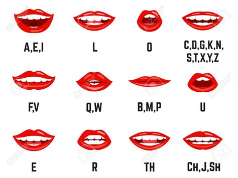 Lips Sound Pronunciation Chart Mouth Shape Correct Position Learning Articulation Movement Of