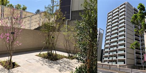 クレヴィア小石川後楽園伊藤忠ハウジング
