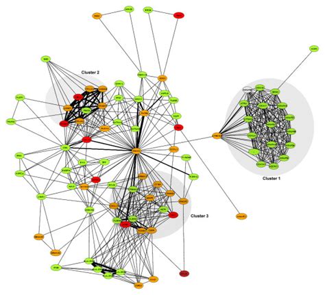 Genes And Gene Pathways Affected By Hsa21 Trisomy Pathway Analysis Was