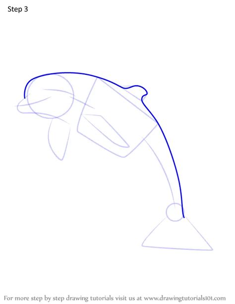 How To Draw A Bottlenose Dolphin Marine Mammals Step By Step