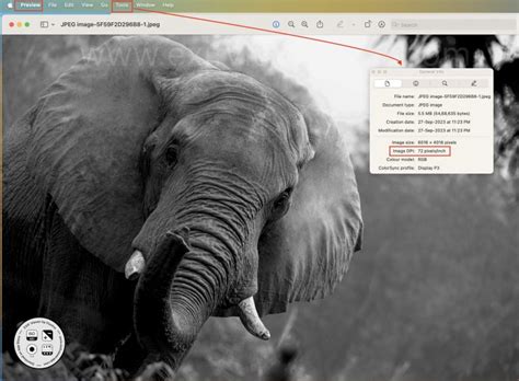 DPI Conversion How DPI Affects Your Prints And Why It Matters