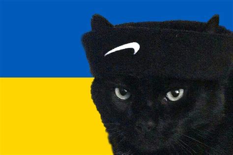 Аватарка с флагом Украины Avatar Poster Art