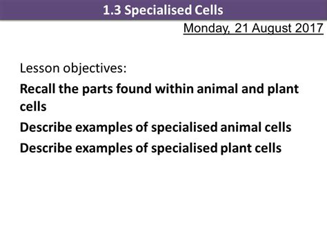 Activate 1 Ks3 Biology Chapter 1 Cells Teaching Resources
