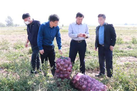 张建宾深入大六号镇督导调研秋收、人居环境整治等农村牧区重点工作澎湃号·政务澎湃新闻 The Paper