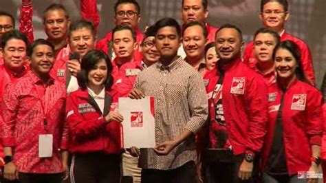 Terjun Ke Politik Kaesang Nekat Pilih Jalan Sendiri Jadi Ketum PSI Beda Dengan Jokowi Dan