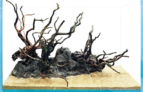 流木 Driftwood Japaneseclassjp