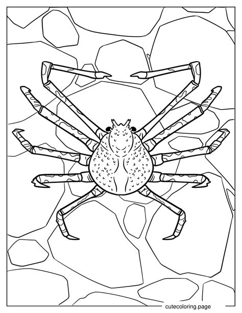 Crab Coloring Pages 20 Free Printable Coloring Pages Cute Coloring