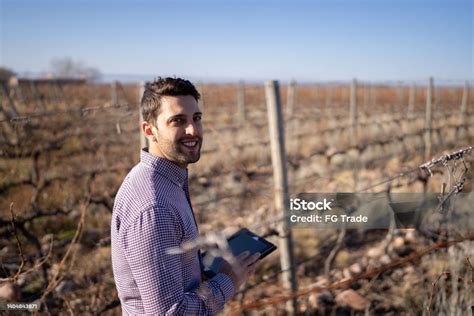 포도밭에서 디지털 태블릿으로 작업하는 중년 성인 남성의 초상화 30 34세에 대한 스톡 사진 및 기타 이미지 30 34세 가을 긍정적인 감정 표현 Istock
