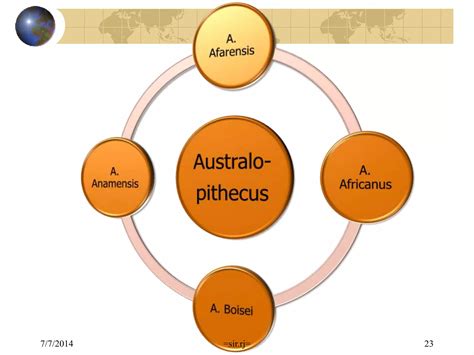 Pinagmulan Ng Tao Pptx