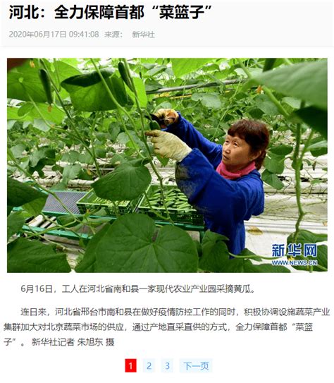 设施农业产业集群模式创新与实践以河北邢台为例 生产