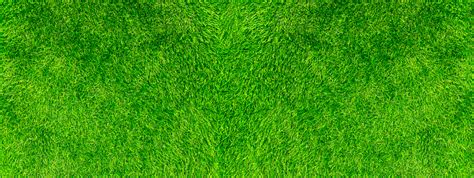 녹색 잔디 텍스처 배경 잔디 정원 개념 녹색 배경 축구 피치 잔디 골프 녹색 잔디 패턴 질감 배경을 만들기 위해 사용 0명에 대한 스톡 사진 및 기타 이미지 Istock