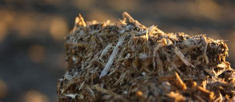 Hydroseeding Vs Hydromulch Whats The Difference