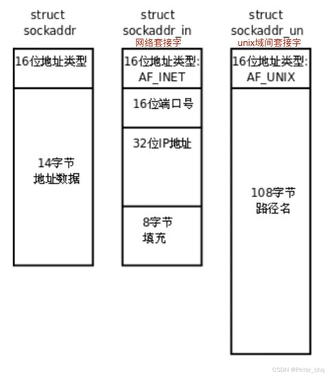 【计算机网络】socket编程接口编写socket接口 Csdn博客