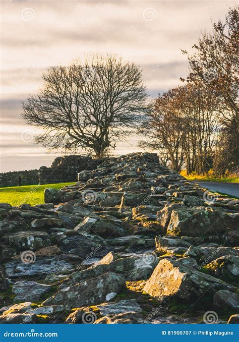Hadrian`s Wall Stock Image Image Of Rural Hadrian Heritage 81900707