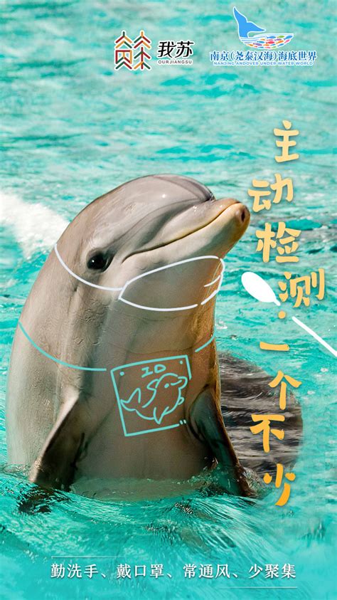教你最IN宅家之道 祝你万事胜疫 防疫萌宠说 我苏网