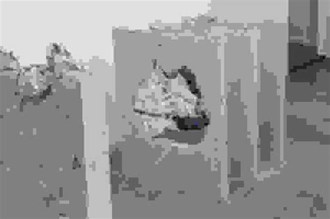 Sofia Bohtlingk Untitled 2014 Artsy