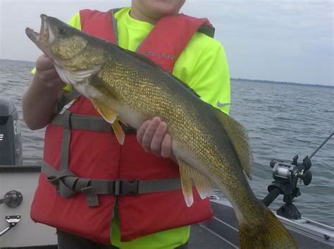 Green Bay Walleye Fishing Fishing Reports In Depth Outdoors