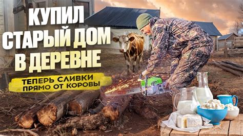 КУПИЛ СТАРЫЙ ДОМ В ДЕРЕВНЕ МОЛОКО И СЛИВКИ ОТ БУРЕНКИ ДОМ ОБЛАГОРАЖИВАЕТСЯ Youtube