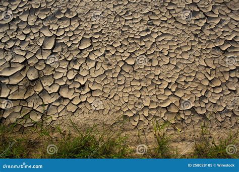 Dark Cracked Mud Texture On Exterior Wall Of A Building With Green