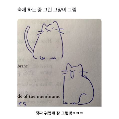 동그라미짤 숙제 하는 중 그린 고양이 그림 고양이그림 숙제 금손이네 표현력 냐옹이 Instagram
