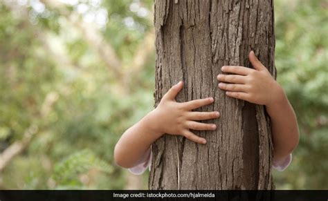 Chipko Movement In 1970 Chipko Andolan People Hugged Trees To Save Them From Cutting