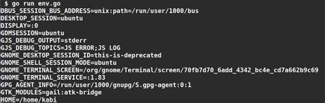 Golang Environment Variables GeeksforGeeks