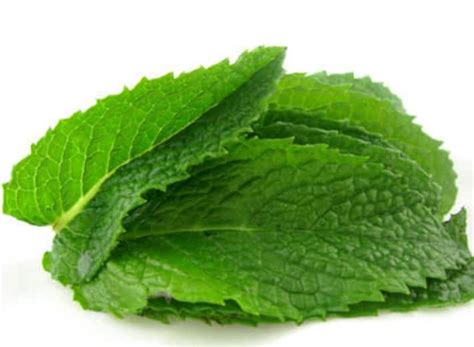 Top 6 Home Remedies To Relieve Excessive Belching