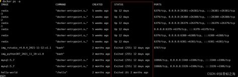 docker容器的七种状态。 docker 状态 csdn博客