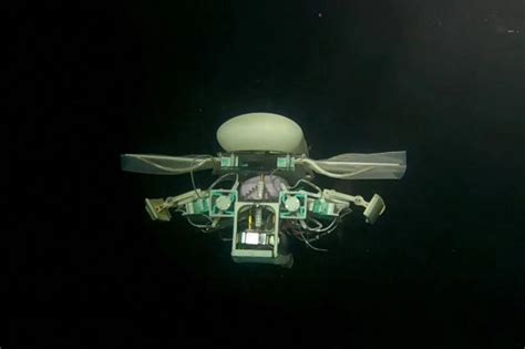 “손톱 위 1t 코뿔소 얹는 압력” 中 1만m 심해 탐사 가능 소형 로봇 개발 [와우 과학]