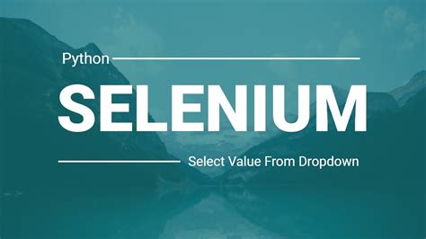 Select Values From Dropdown Python Selenium Pytest Framework Sqa