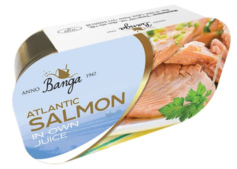 Canned Salmon A Type Of Fish Preserved In A Can Fikacafe Net