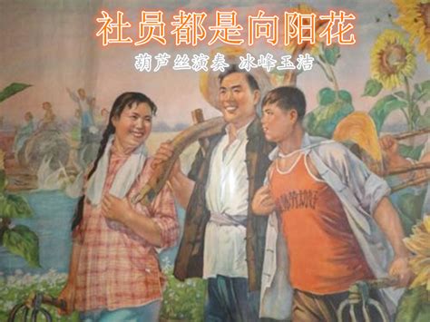 社员都是向阳花手风琴简大山谷图库