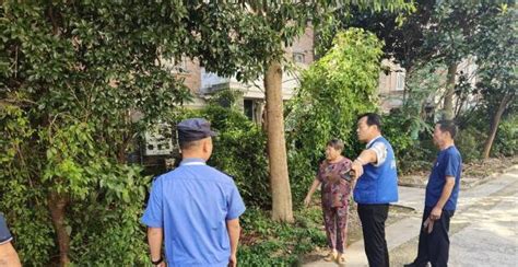 南京溧水和凤城管进小区解决家禽扰民问题腾讯新闻