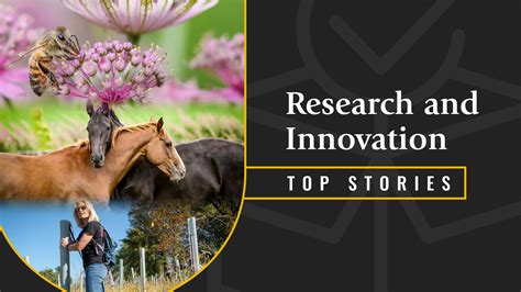 top rutgers research and innovation stories of 2022 rutgers university