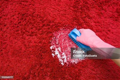 브러쉬 및 특수 거품 붉은 얽히고 설킨 카펫에서 얼룩을 제거 보호 장갑에 건조 청소기의 직원의 손 일반 또는 일반 정리 상업용 청소 회사입니다 근접 촬영 평면도 문질러