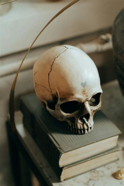 is ai killing frontend development the truth about gpt 4 and no code