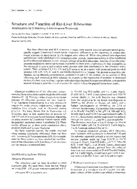 Pdf Structure And Function Of Rat Liver Ribosomes Modification By