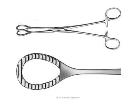 Instrument Used For Dissection Ppt