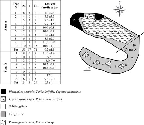 Dextran 70 1 Mgml Hypromellose 3 Mgml Ophthalmic Solution Tears Naturale Semantic Scholar
