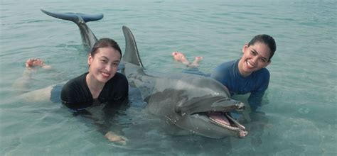 Dolphin Beach Encounter Ocean Adventure Subic Bay