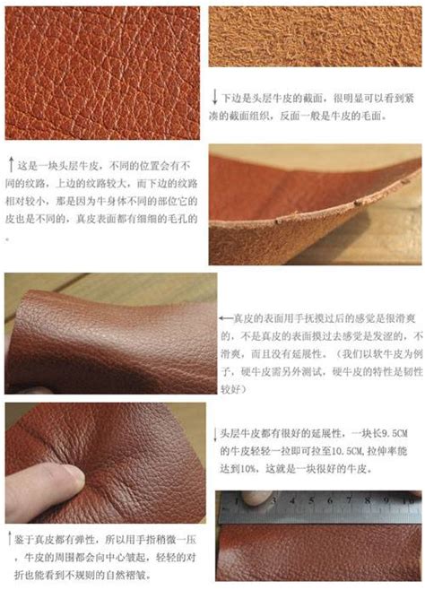 皮料鉴别知识百度百科