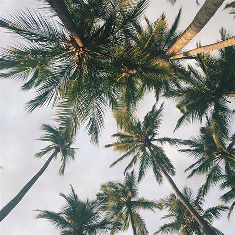 Tropical Paradise In Nicaragua