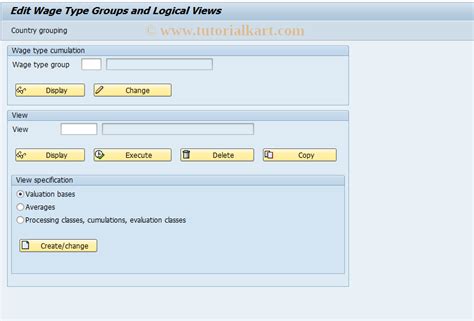 PU SAP Tcode HR Maintain Log Views WT Groups