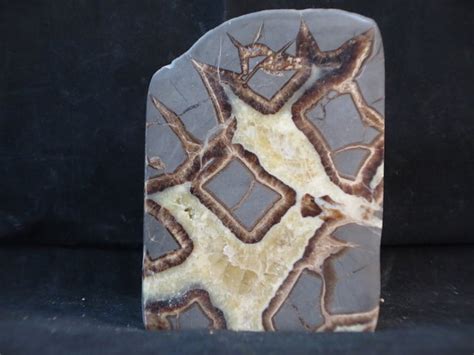 Utah Septerian