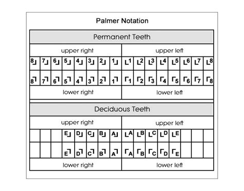 Palmer Notation Quiz