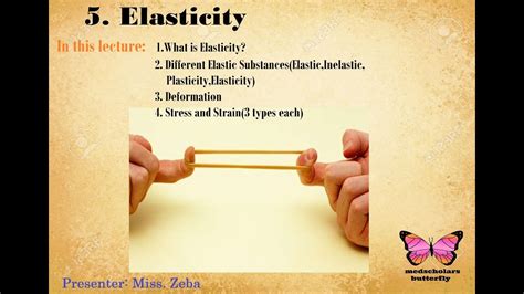 Elasticity Part 1 Hsc Lectures Youtube