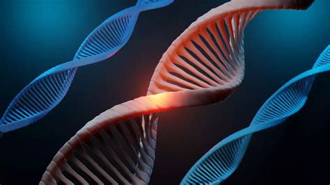 Genome Sequencing In India India Completes Sequencing 10 000 Human