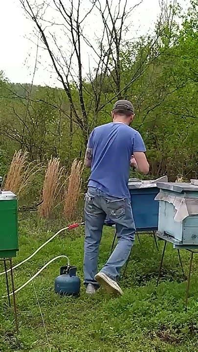 სუბლიმაცია თაფლი Youtube