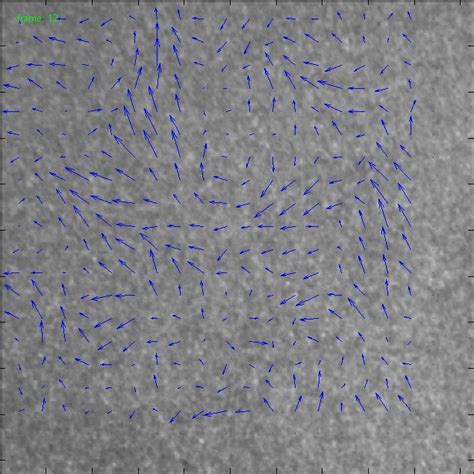 Particle Imaging Velocimetry Correlation Algorithm For Snowfall