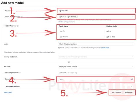 Setting Up An Ai Proxy On The Raspberry Pi With Litellm Pi My Life Up